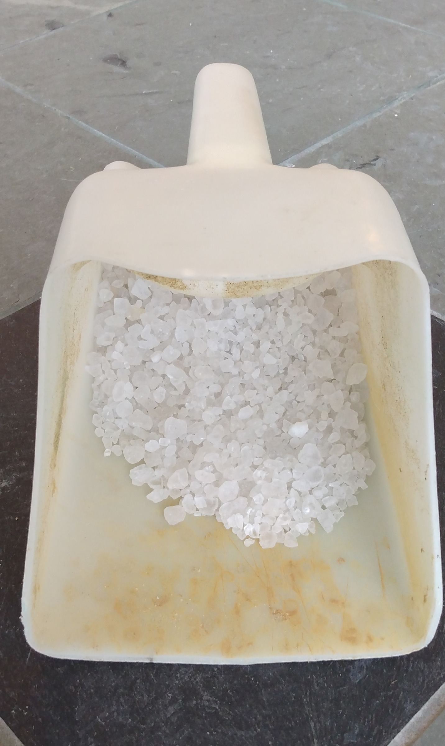 Latest News – Extension Dane County