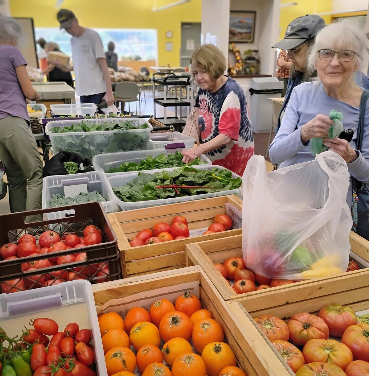 Pilot Project Brings Farmers Markets to Seniors: Improving Access to ...