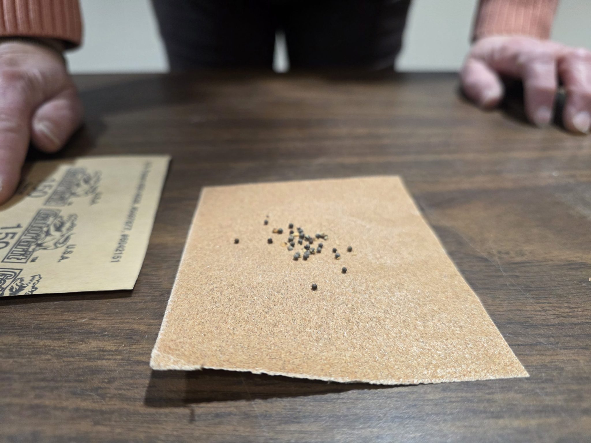Winter Sowing Native Wildflower Seed – Extension Dane County
